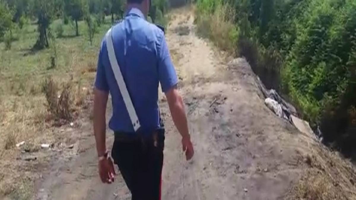 BLITZ CARABINIERI. Sequestrata area interessata da scavi archeologici ...